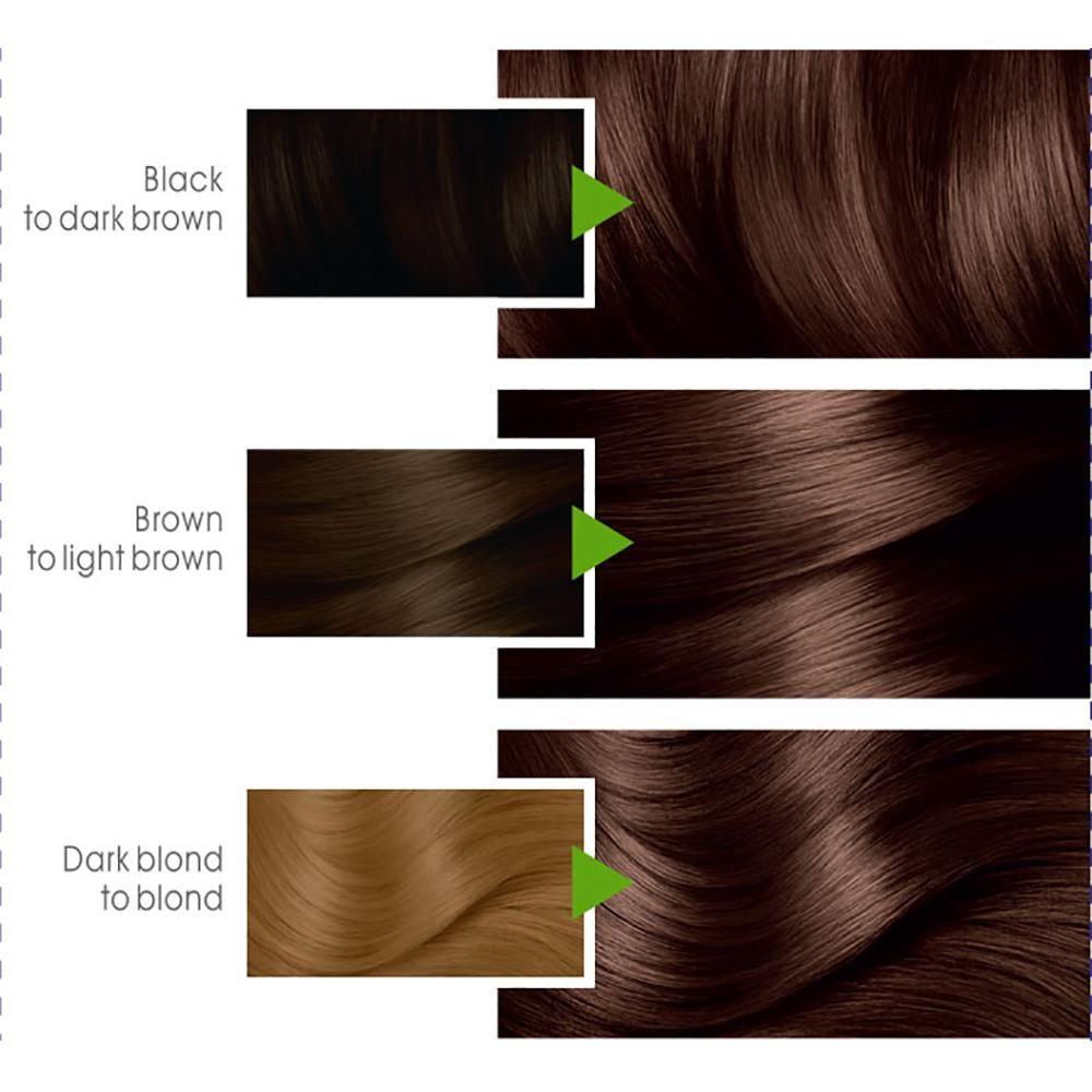 Garnier Color Naturals- 5.15Â Mahogany Ash Light Brown Hair Color ...